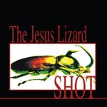the jesus lizard down cd