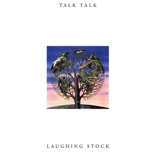 talk talk covers