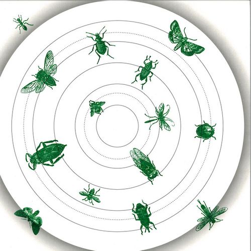 O Yuki Conjugate - Insect Talk (Vinyl 12") - Amoeba Music