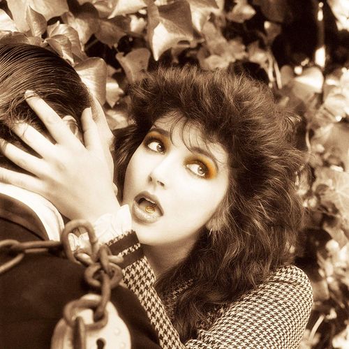 Kate Bush - Remastered In Vinyl I [Box Set] (Vinyl LP) - Amoeba Music