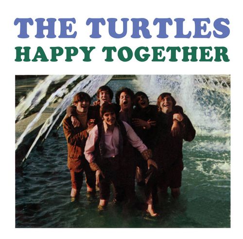 My Collections: The Turtles