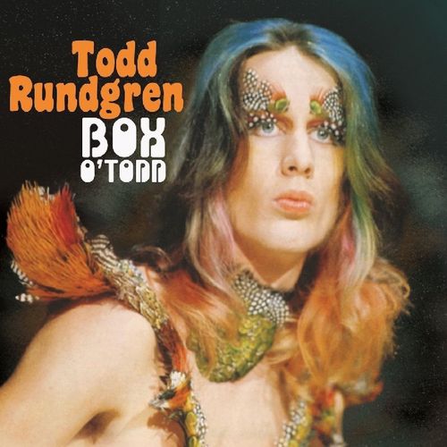 Todd Rundgren (Music) - TV Tropes