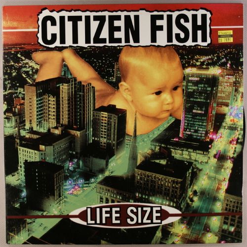 Citizen Fish - Life Size (Vinyl LP) - Amoeba Music