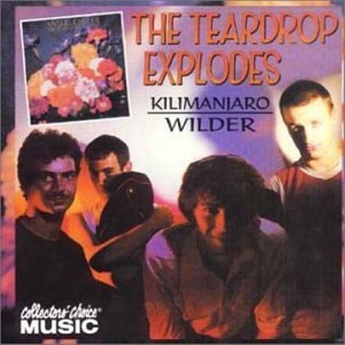 The Teardrop Explodes - Kilimanjaro / Wilder (CD) - Amoeba Music