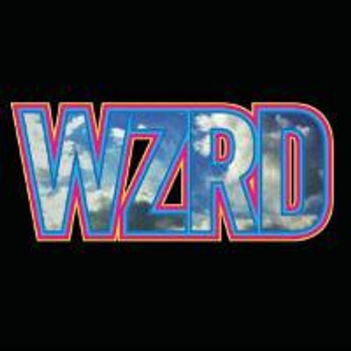 WZRD - WZRD (Vinyl LP) - Amoeba Music
