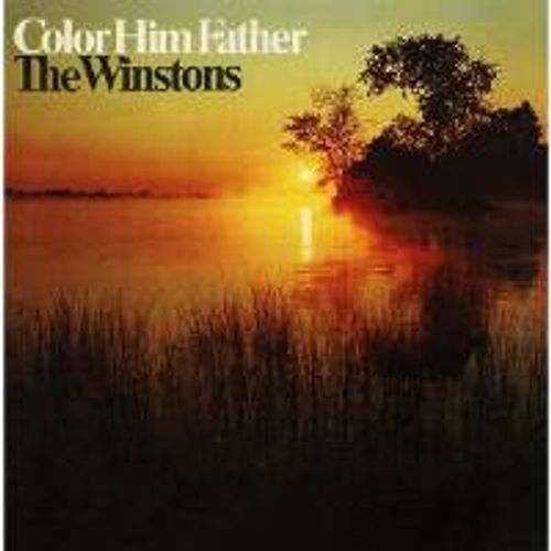The Winstons - Color Him Father (Vinyl LP) - Amoeba Music