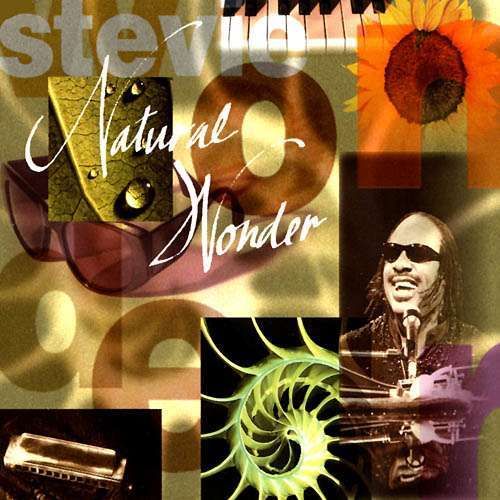 Stevie Wonder - Natural Wonder (CD) - Amoeba Music