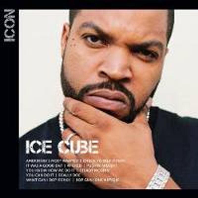 ice cube icon cd
